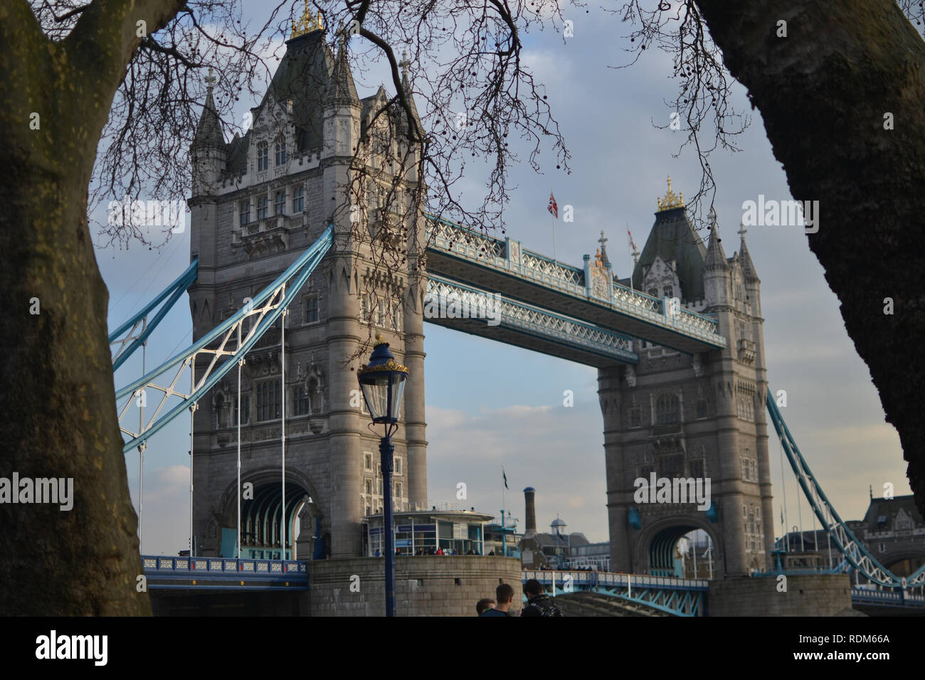 Tower Bridge through a gap in the trees Stock Photo - Alamy
