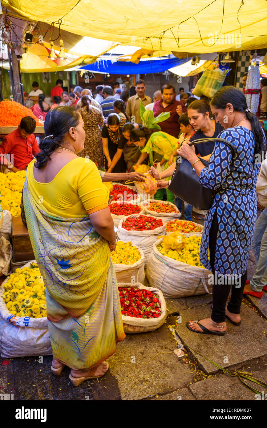 Mysore market flower hi-res stock photography and images - Alamy