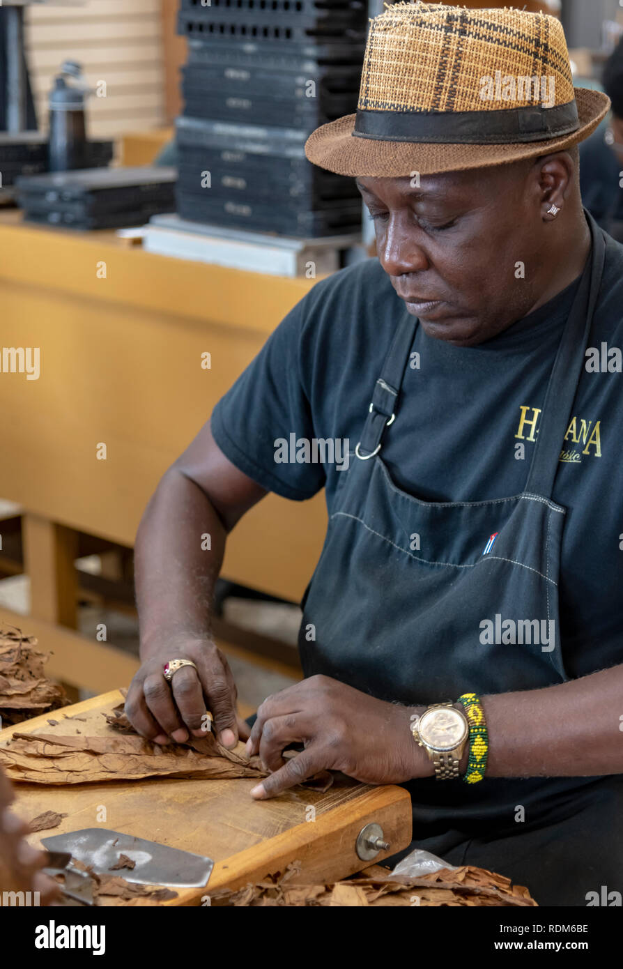 Cuban man making cigars in cigar factory in Little Havana, Miami ...