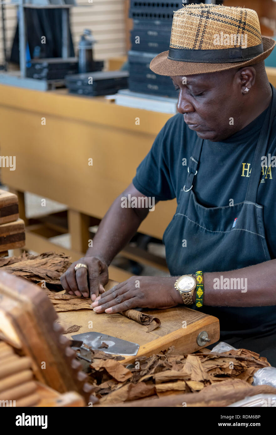 Cuban man making cigars in cigar factory in Little Havana, Miami ...