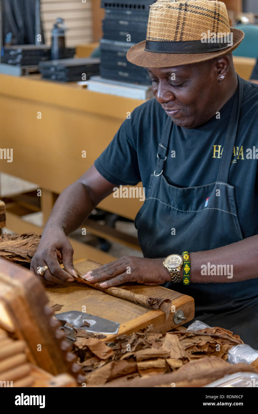 Cuban man making cigars in cigar factory in Little Havana, Miami ...