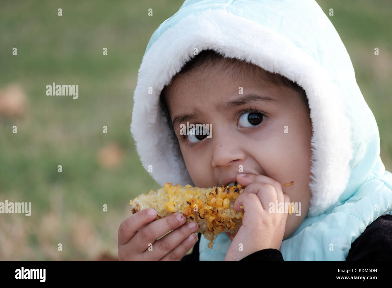 Little girl eating sweet corn while sitting outside in the park Stock ...