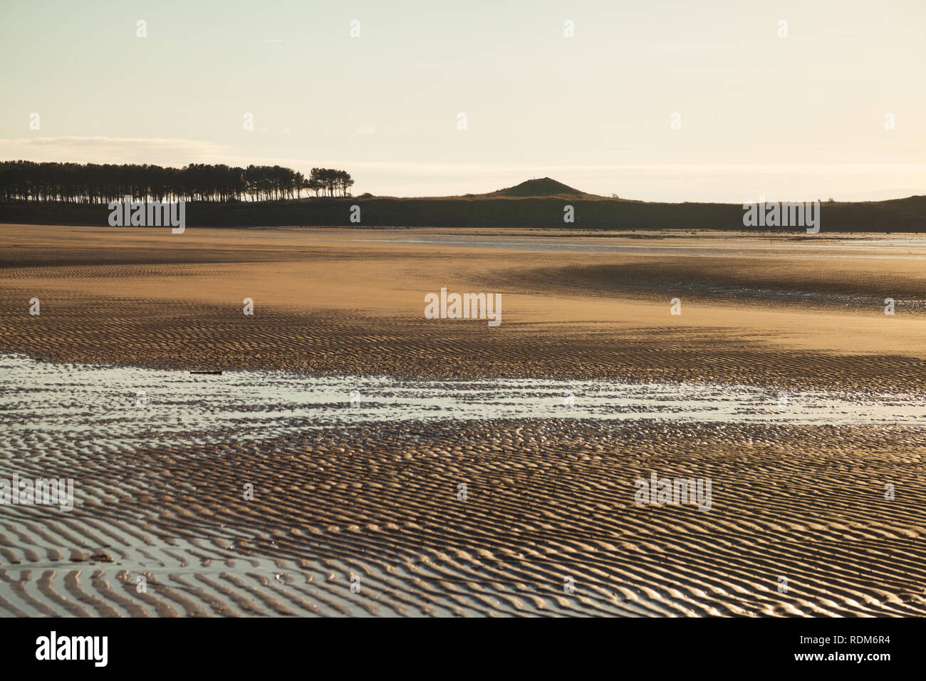 Shell bay hi-res stock photography and images - Alamy