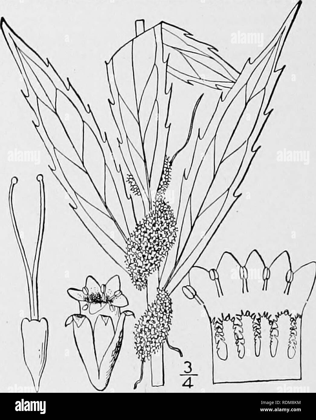 Soc gen Black and White Stock Photos & Images - Alamy