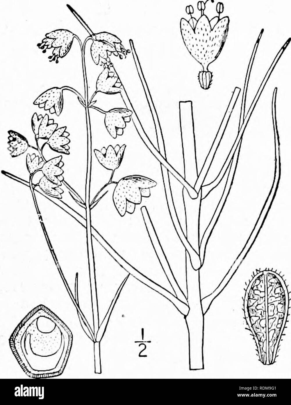 Lher Cut Out Stock Images & Pictures - Alamy