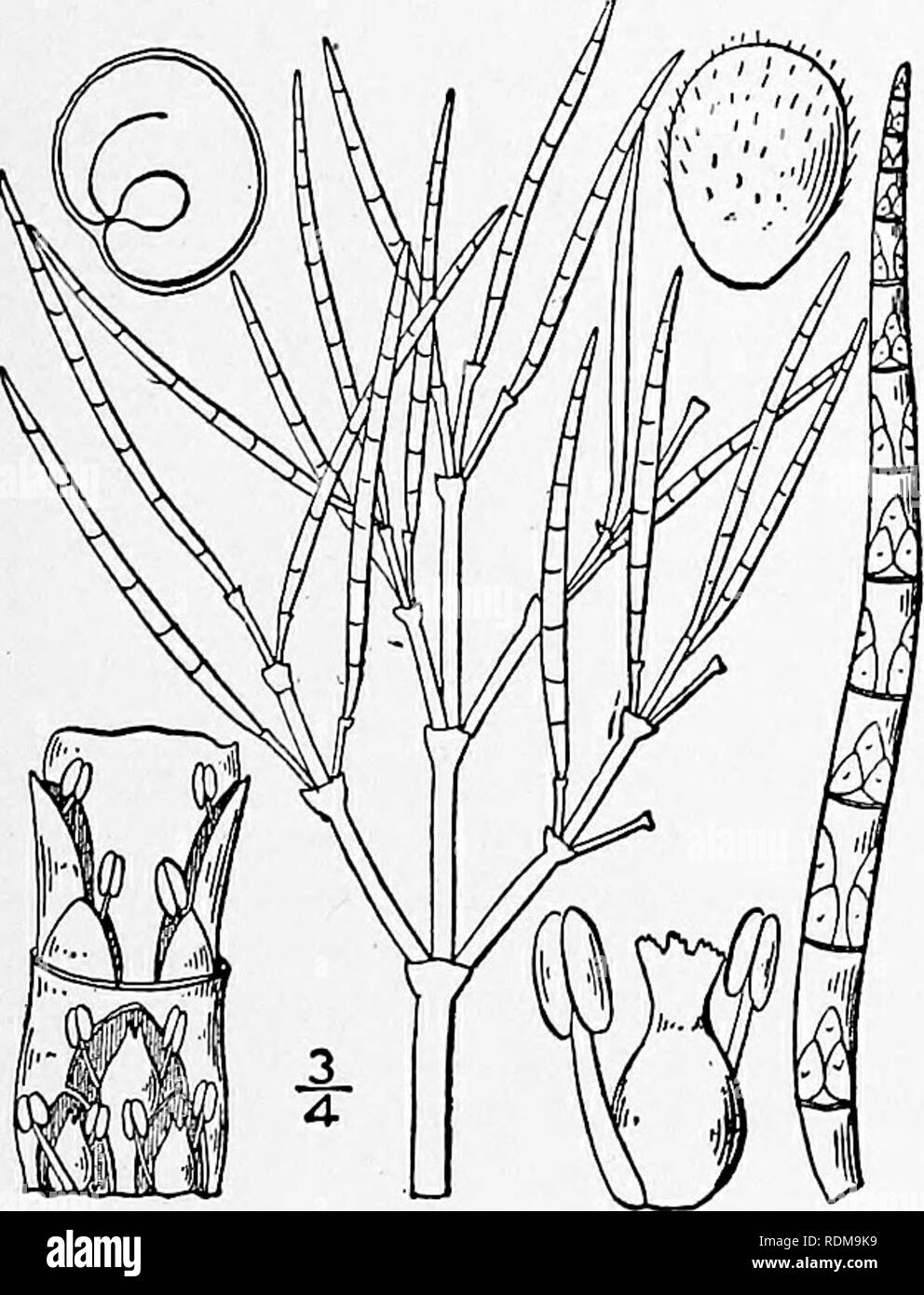 Sunken boundary Black and White Stock Photos & Images - Alamy