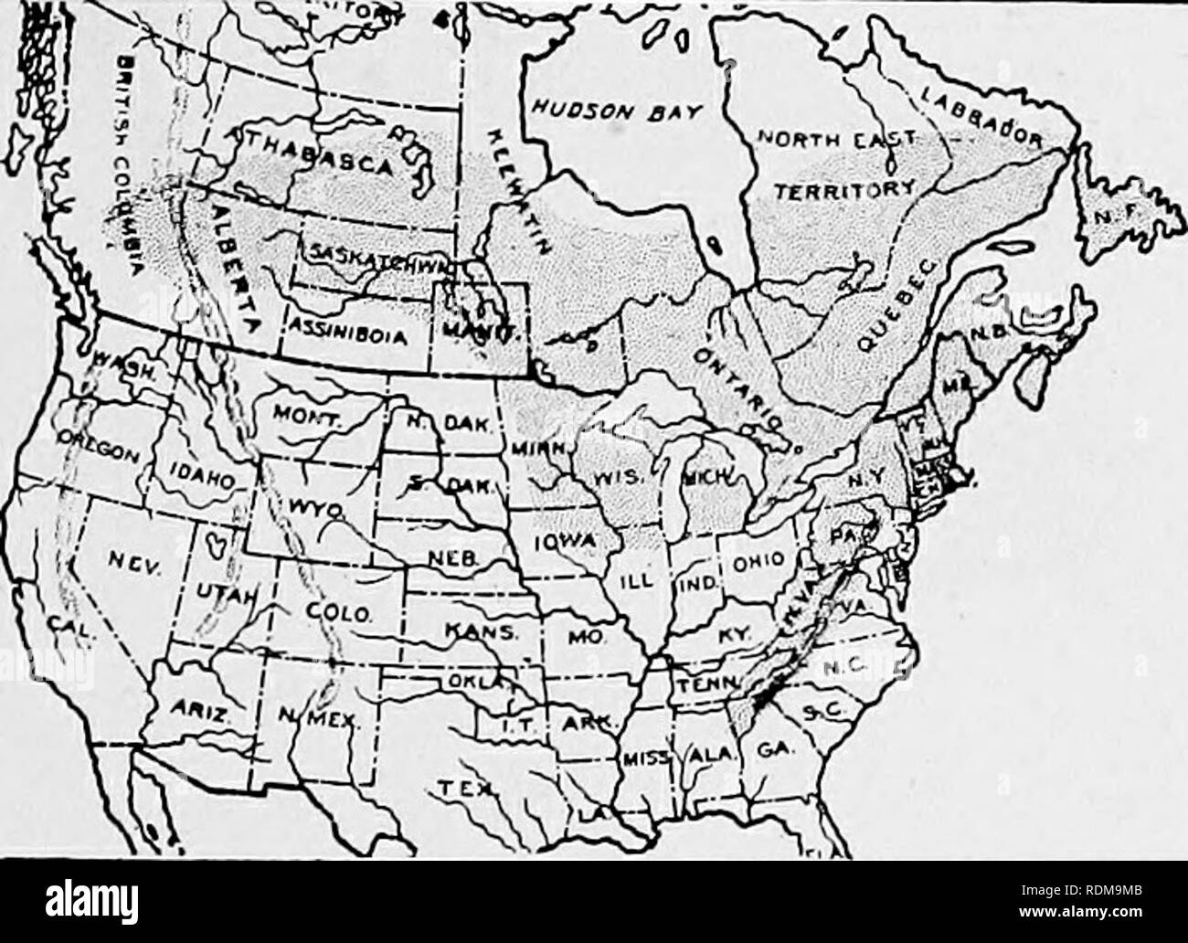 Prominent horizontal lenticels Black and White Stock Photos & Images ...