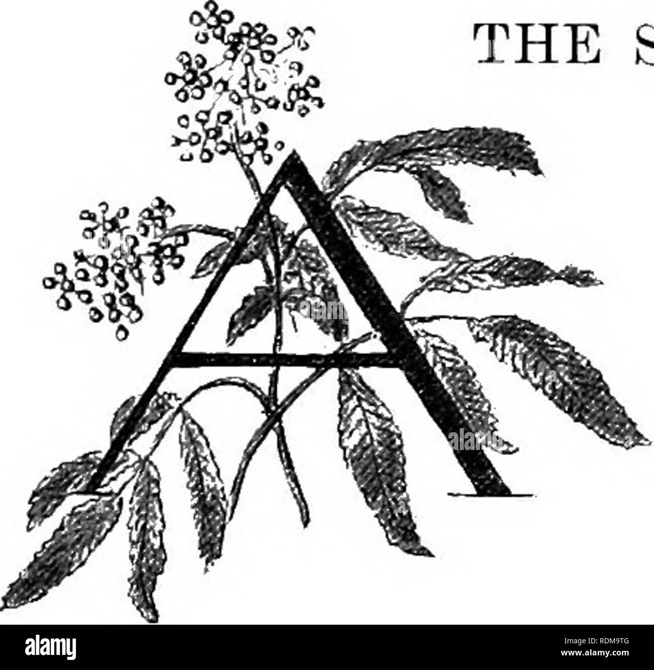 Six trophies hi hi-res stock photography and images - Alamy