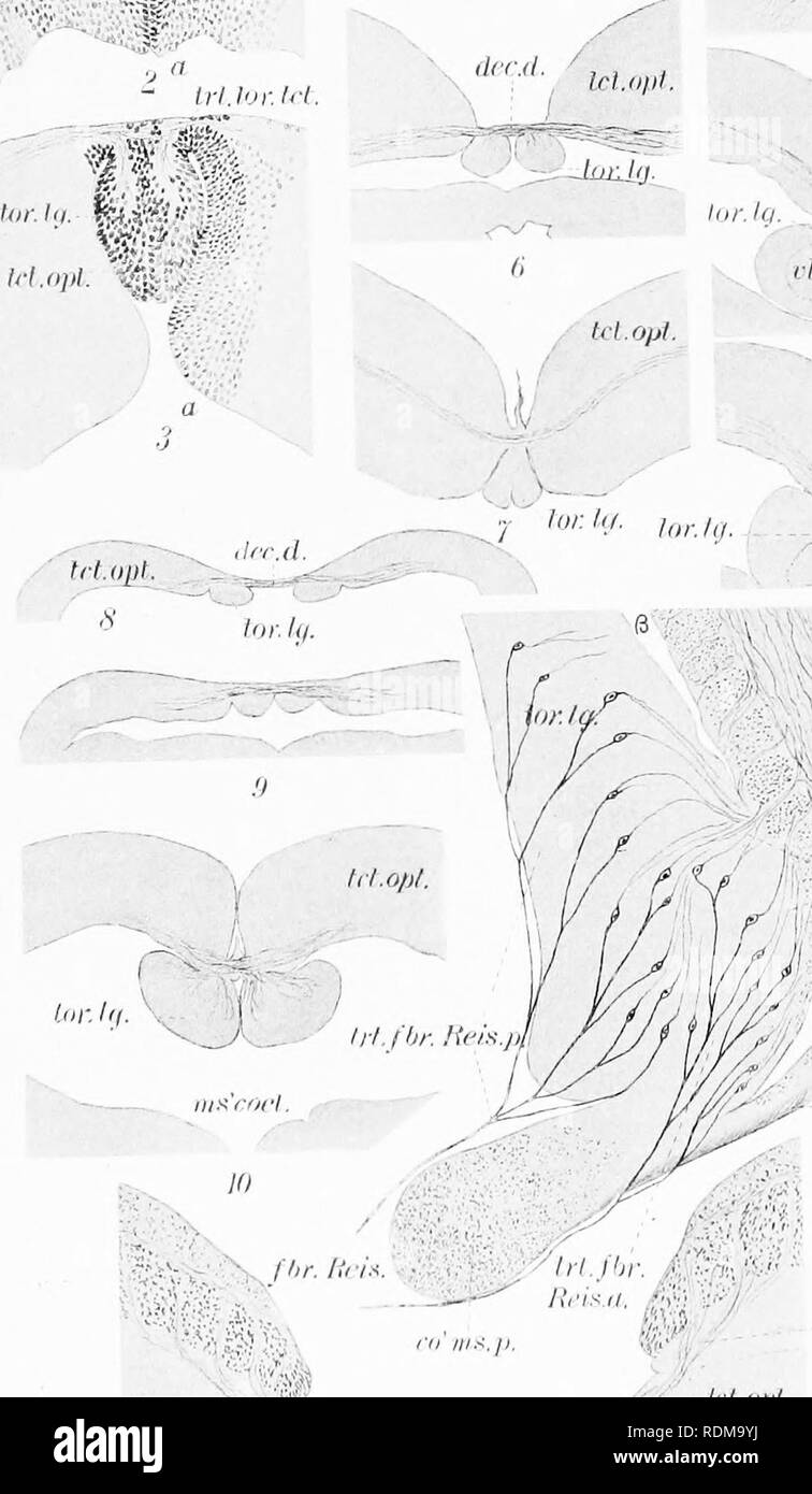 Harvard mark iii hi-res stock photography and images - Alamy