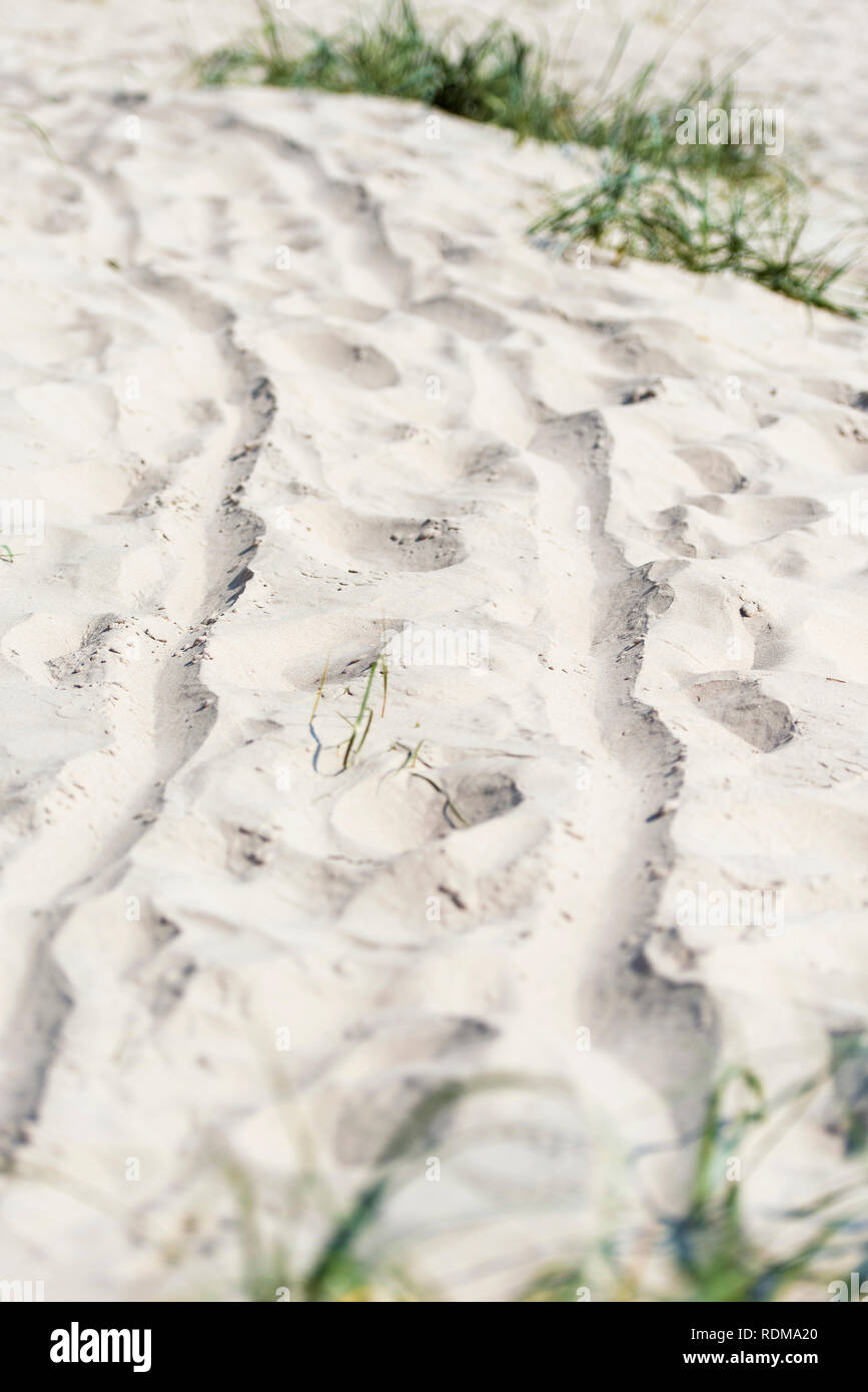 Sand with tracks on beach Stock Photo - Alamy