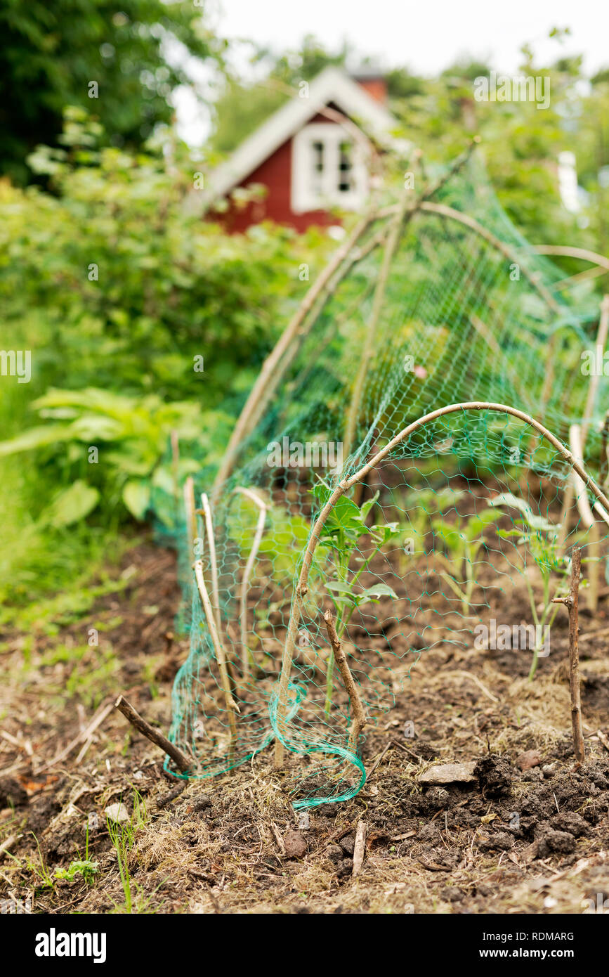 Garden net hi-res stock photography and images - Alamy