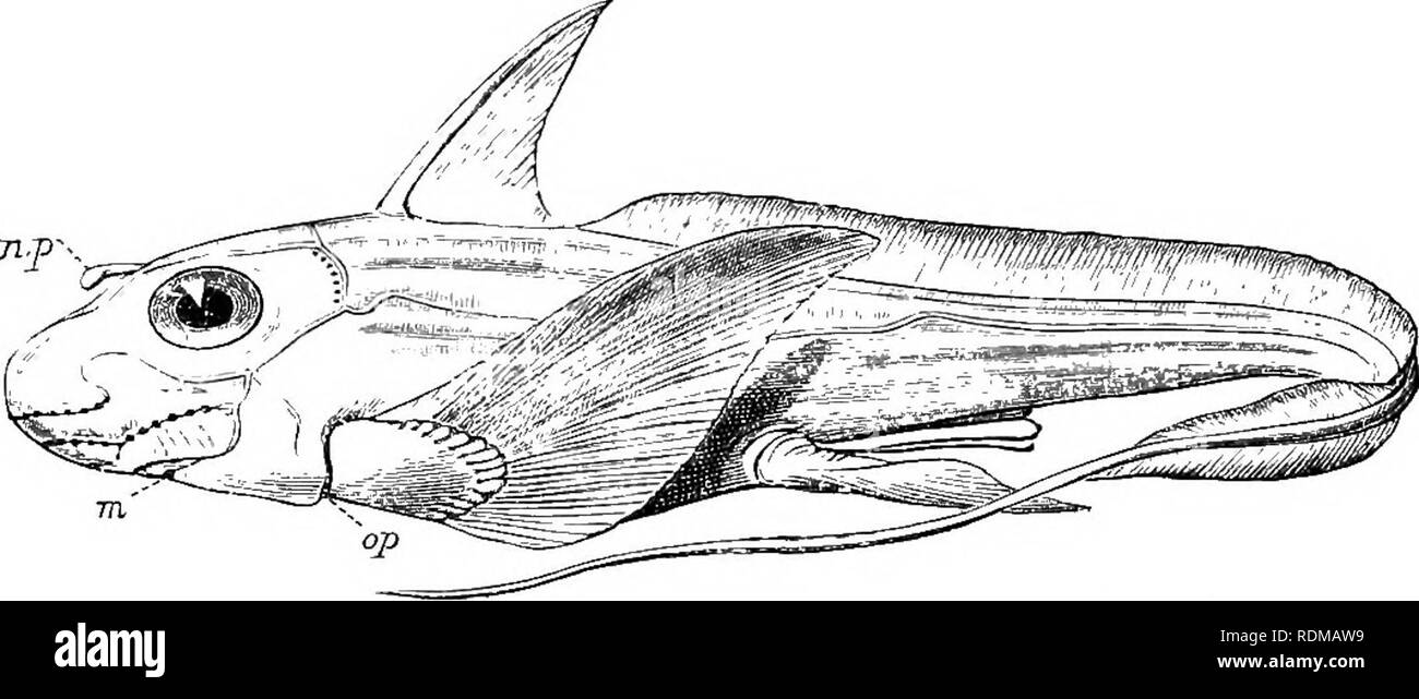 Grinding dental plates hi-res stock photography and images - Alamy