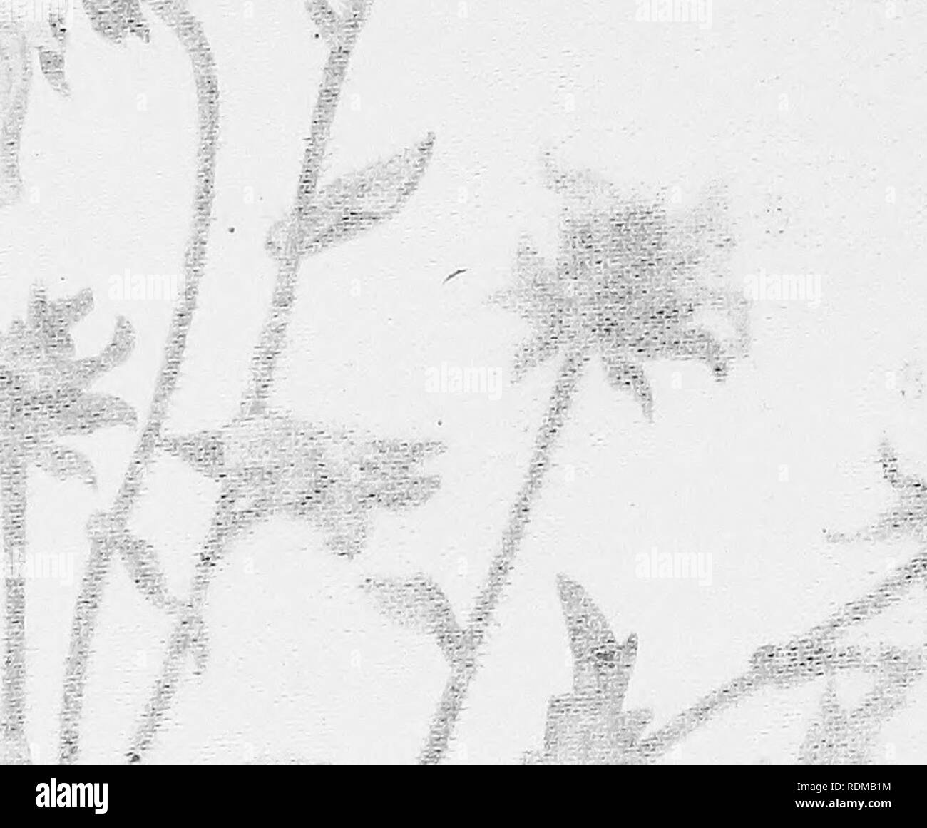 Louis prang and company Black and White Stock Photos & Images - Alamy