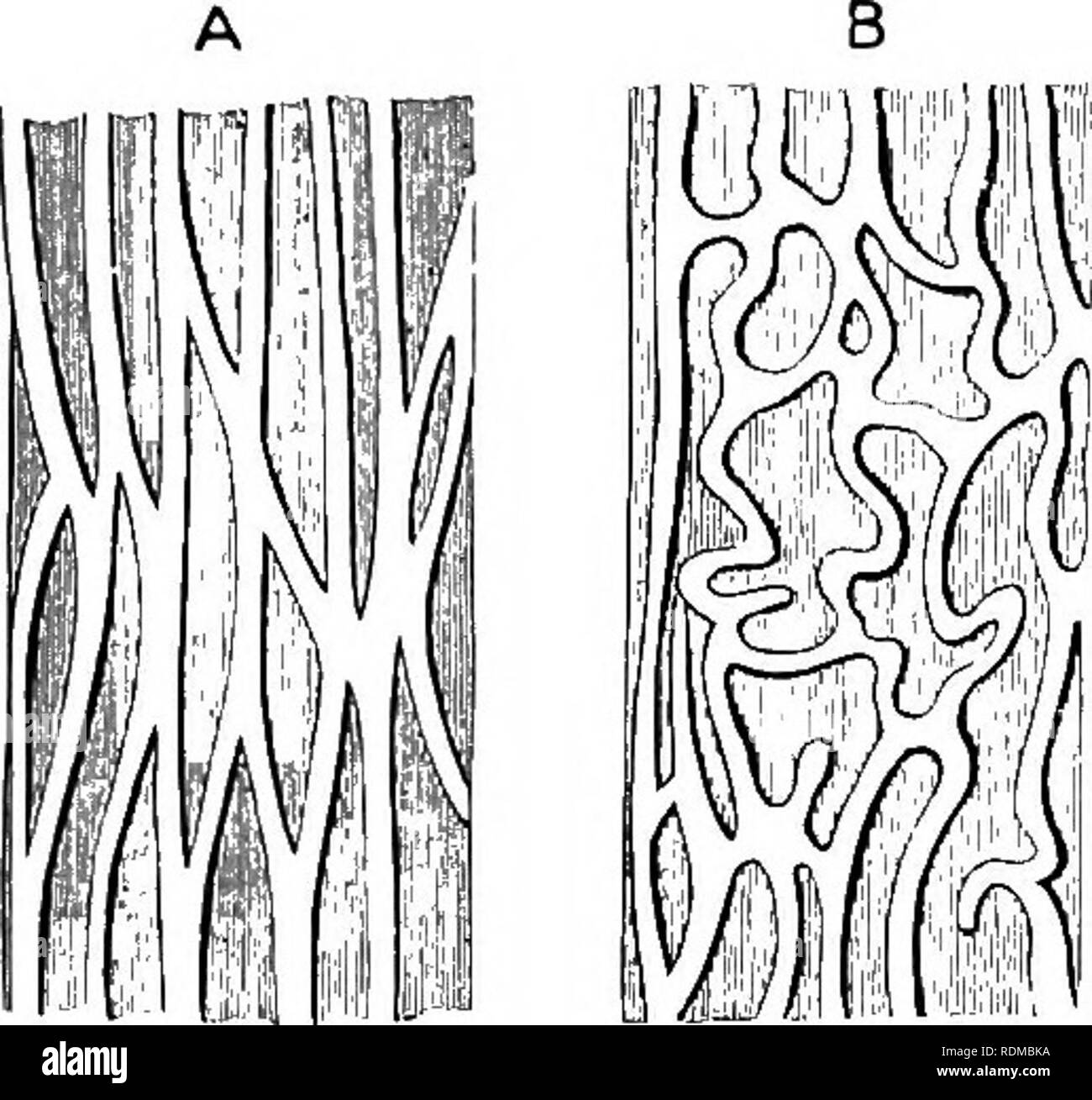 Faeces Black and White Stock Photos & Images - Alamy