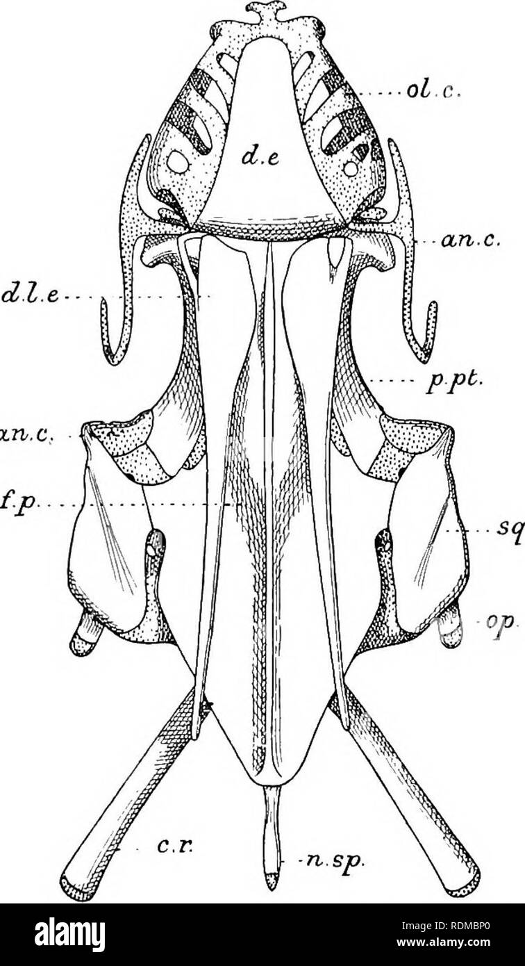 Fifth element car hi-res stock photography and images - Alamy