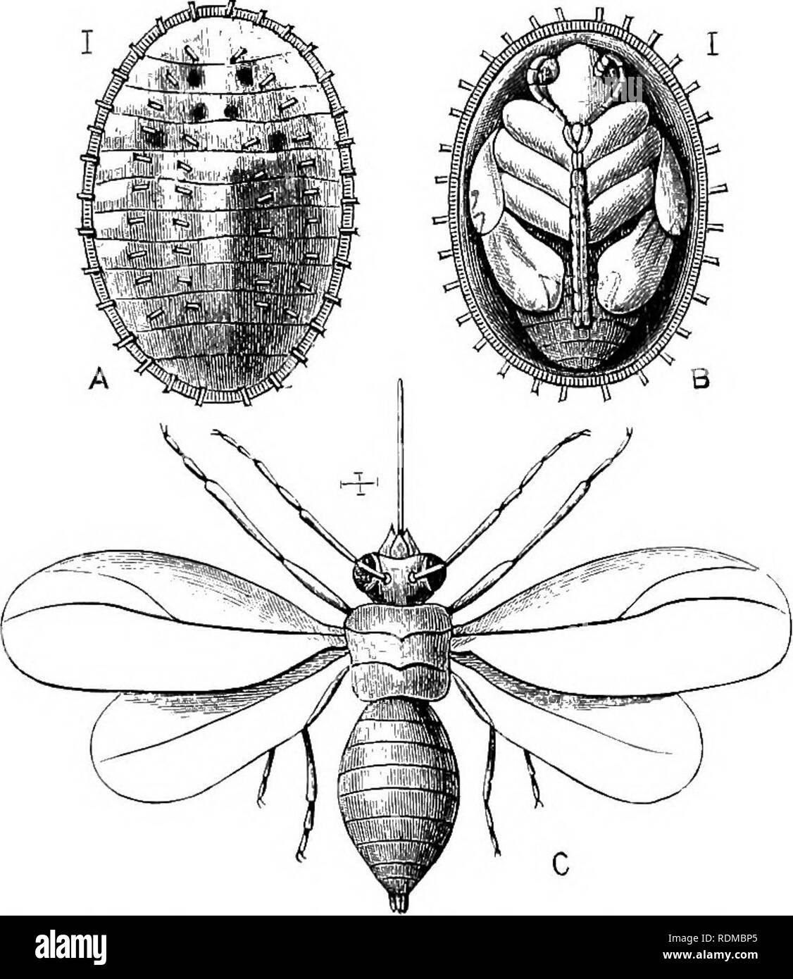 591 feet Black and White Stock Photos & Images - Alamy