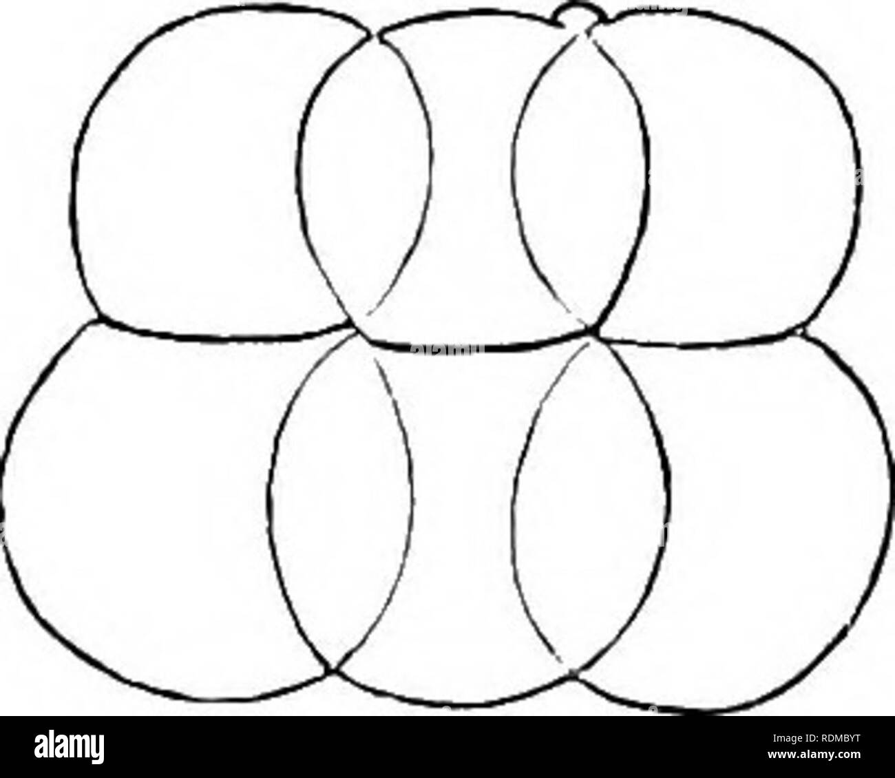 Stages of a sunset Black and White Stock Photos & Images - Alamy