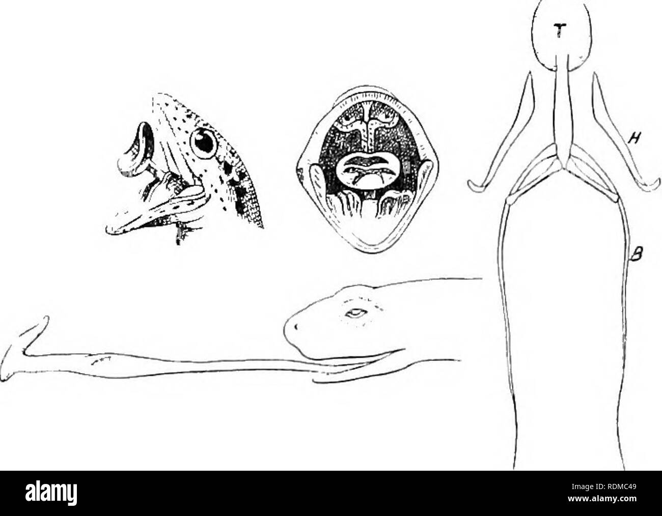 Berg bergs Black and White Stock Photos & Images - Alamy