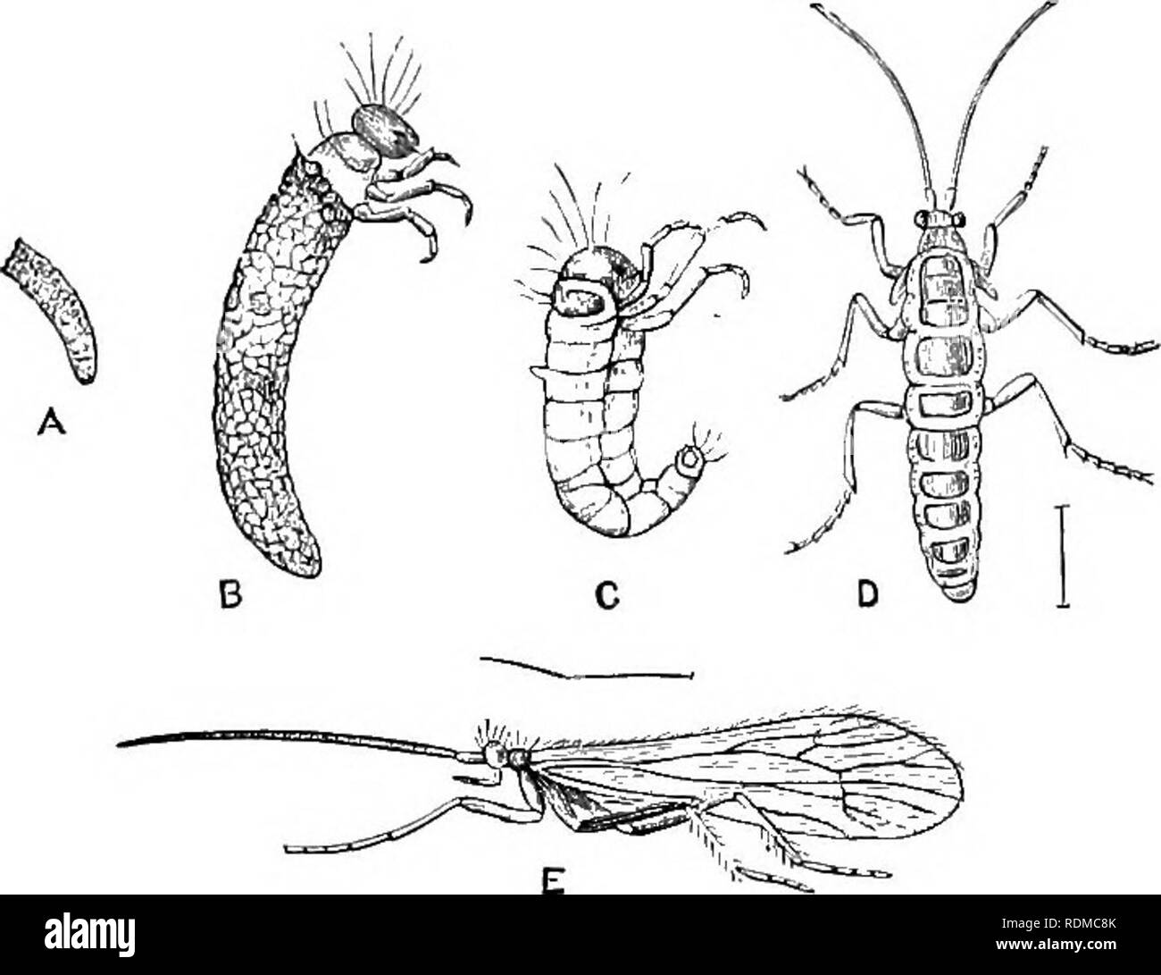 Brief sketch Black and White Stock Photos & Images - Alamy