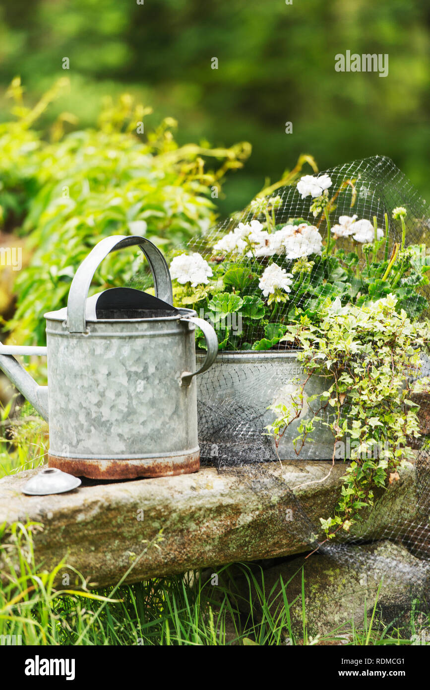 Watering can with flowers hi-res stock photography and images - Alamy