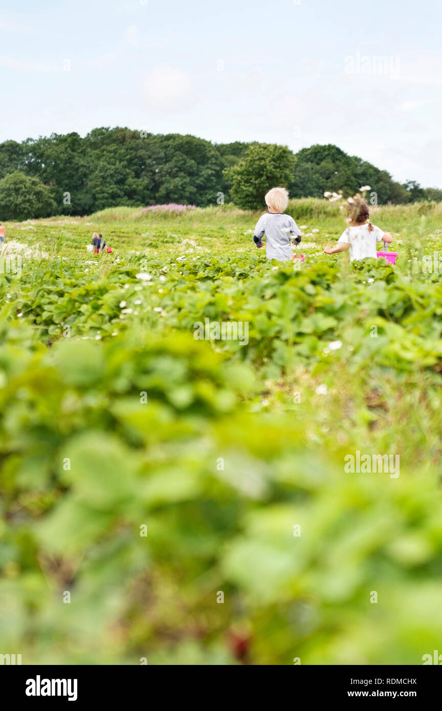 Children field day hi-res stock photography and images - Alamy