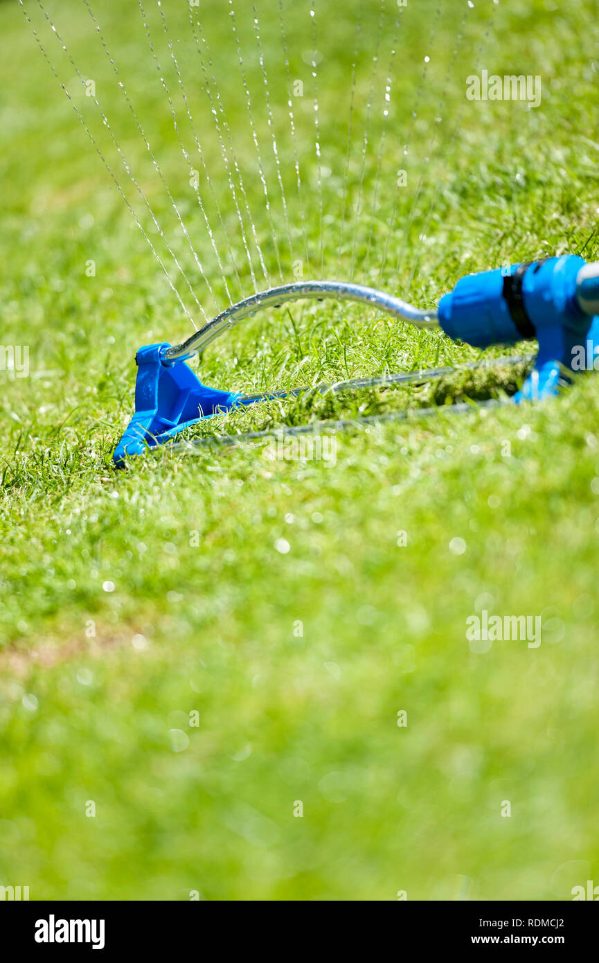 Sprinkler watering lawn Stock Photo - Alamy