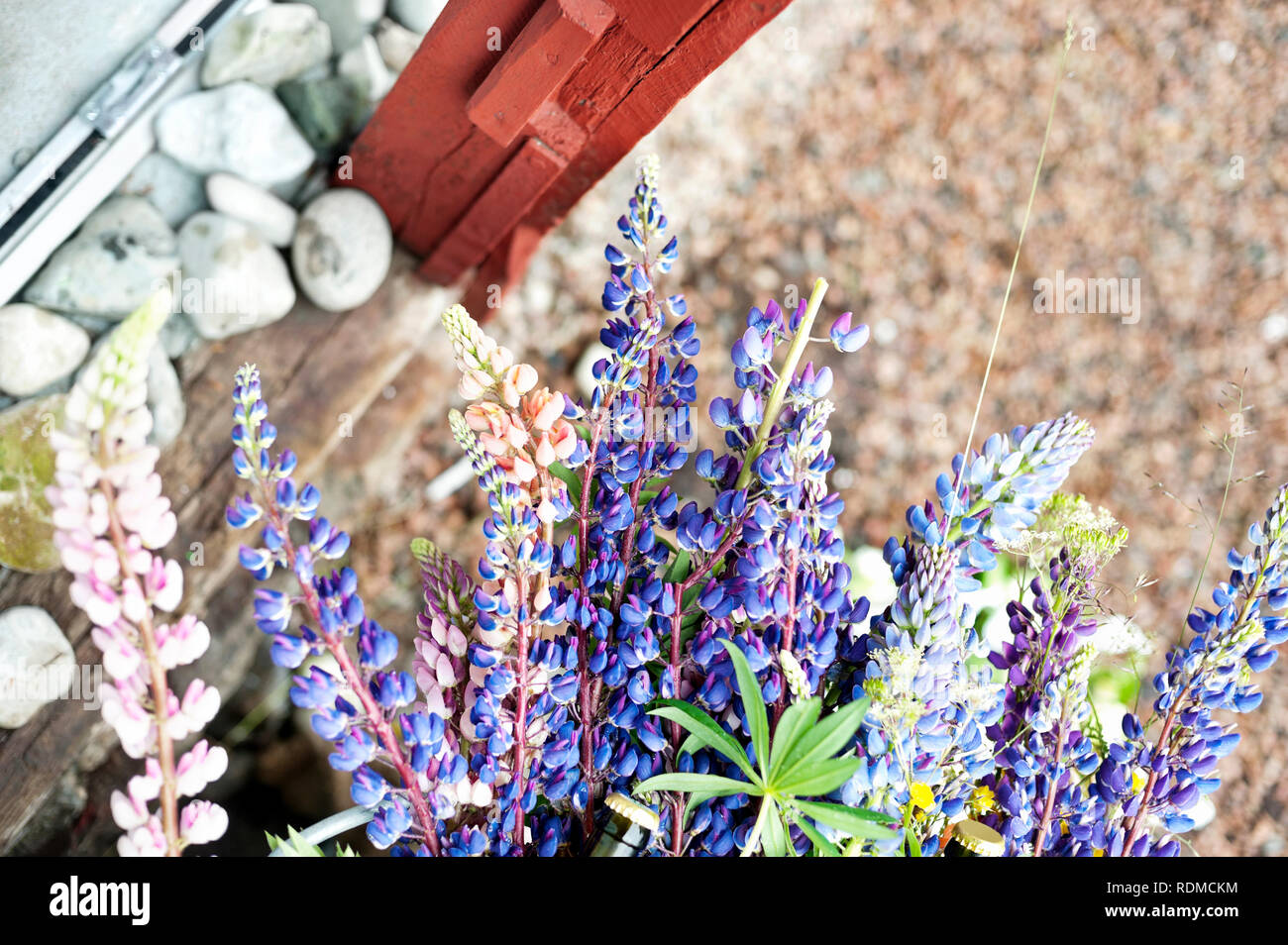 Freshly picked flowers Stock Photo - Alamy