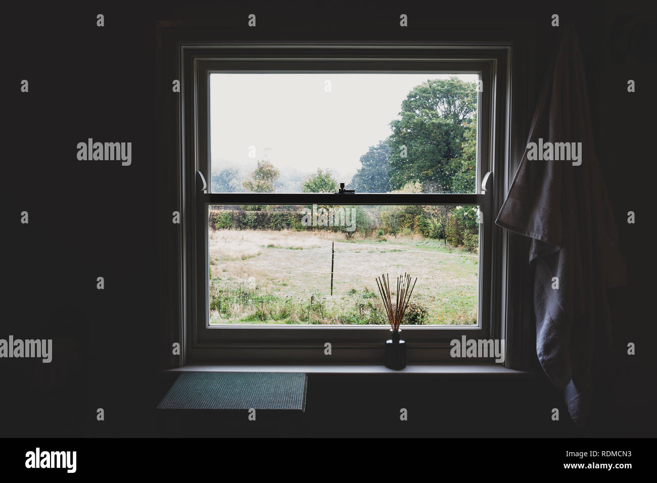 View of garden and trees through sash window Stock Photo - Alamy