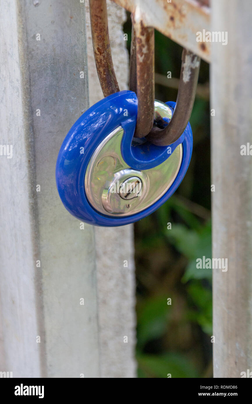 A close up view of a blue plastic lock that is keep a metal rusted gate ...