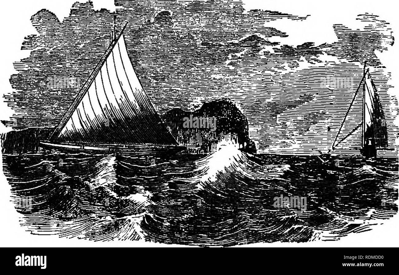 . The wonders of the great deep, or, The physical, animal, geological ...
