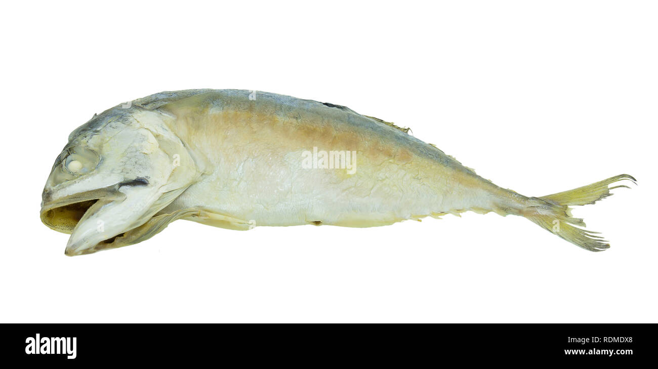 Fresh mackerel fish isolated on the white background Stock Photo - Alamy