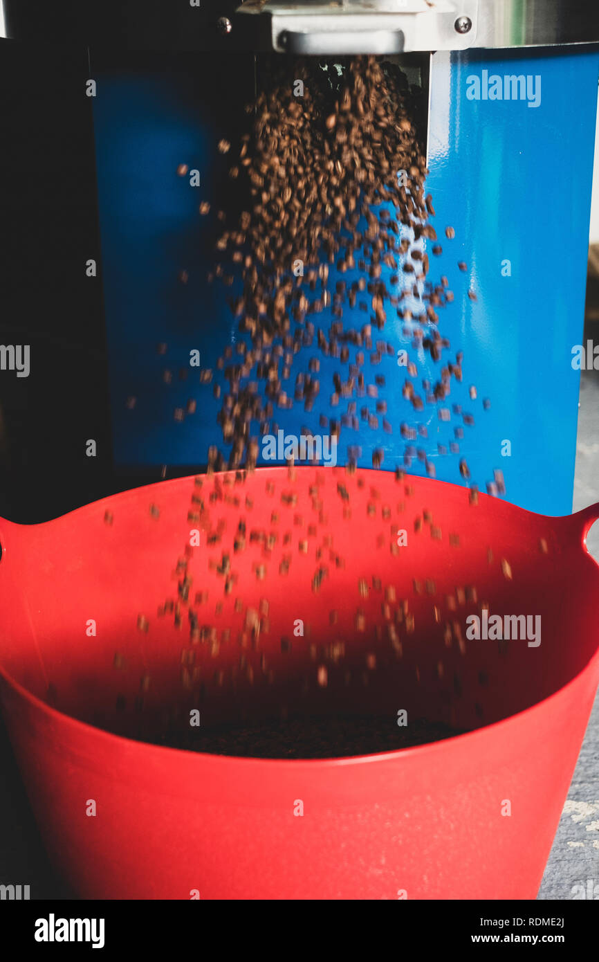 Close up of freshly roasted coffee beans pouring from coffee roaster ...