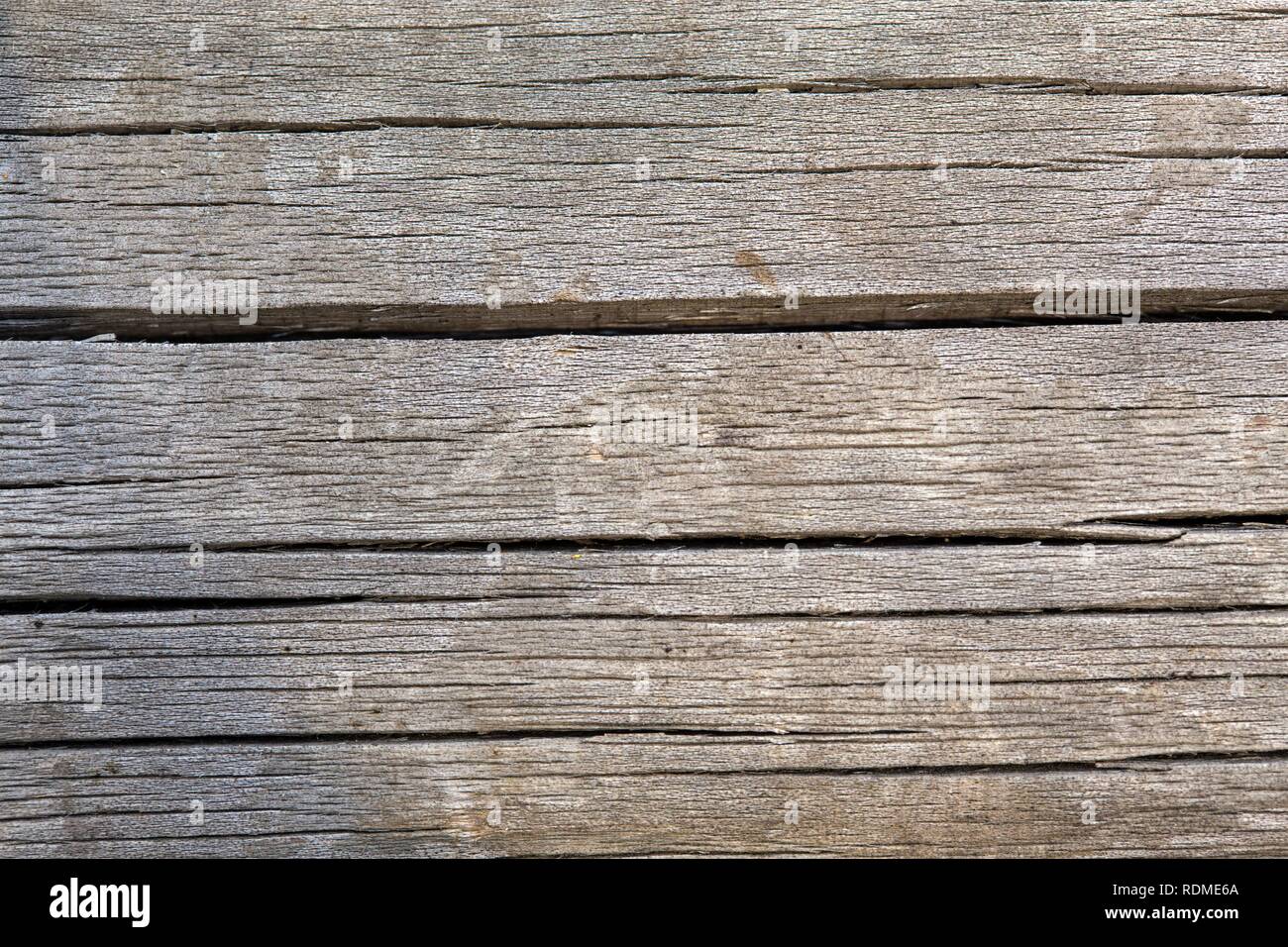 background made of cutted tree texture Stock Photo - Alamy