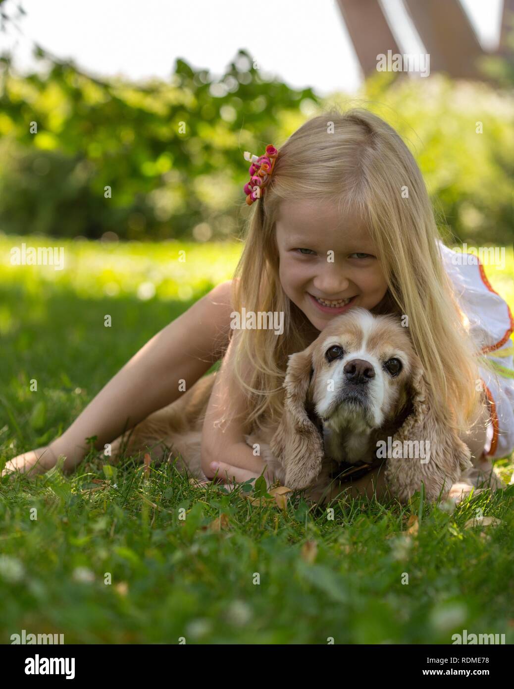 girl with dog looking at the camera Stock Photo - Alamy