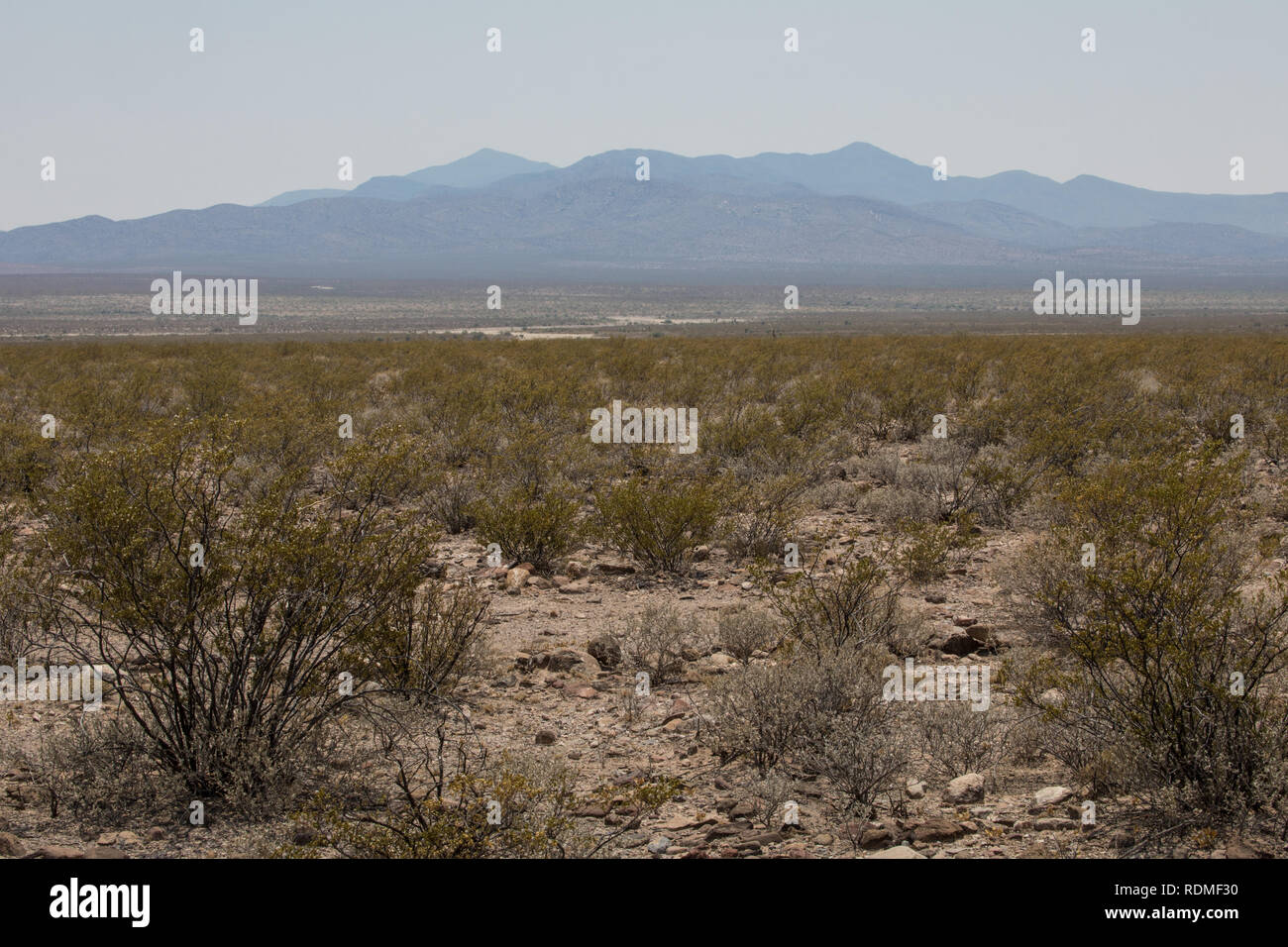 Oppressive Heat in the New Mexico Desert Stock Photo - Alamy