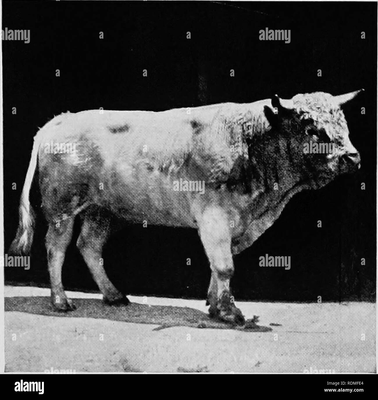 Chartley castle Black and White Stock Photos & Images - Alamy
