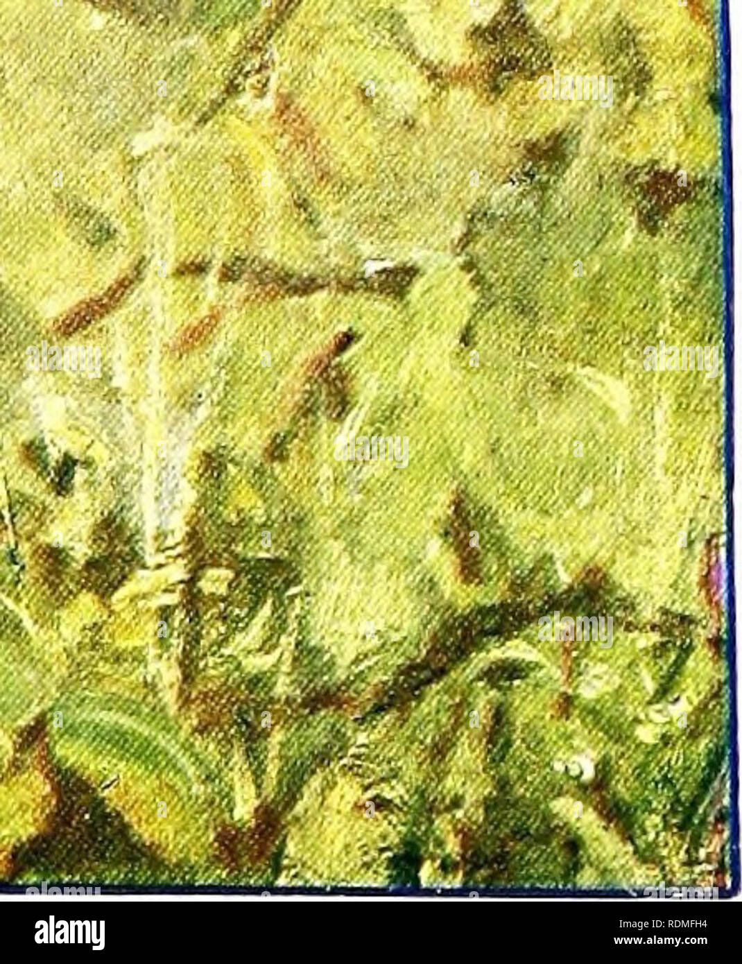 Wt surface hi-res stock photography and images - Alamy