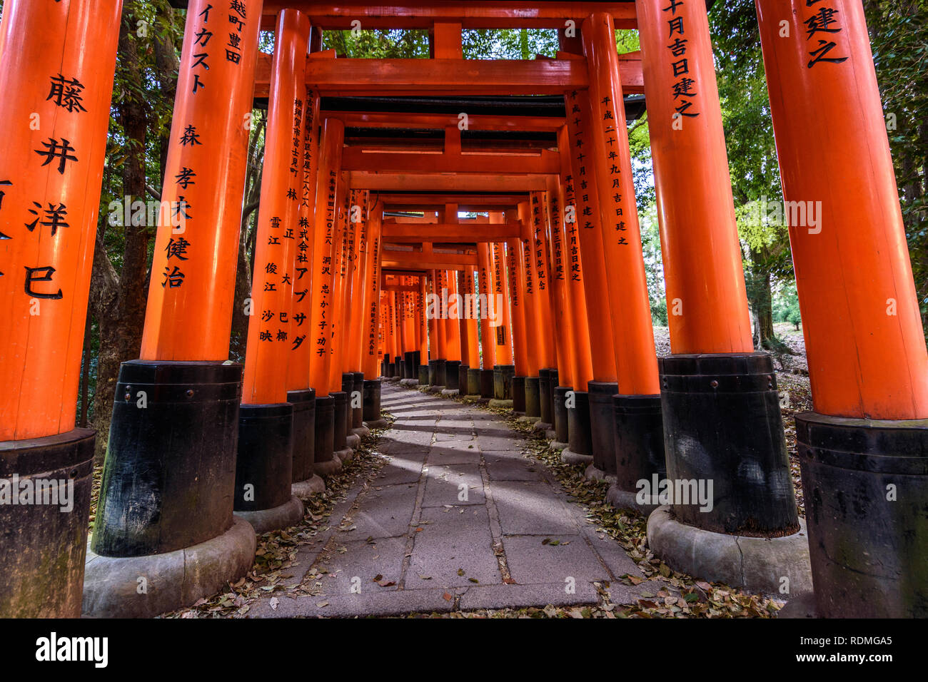 View through red torii gates, Kyoto, Japan Stock Photo - Alamy