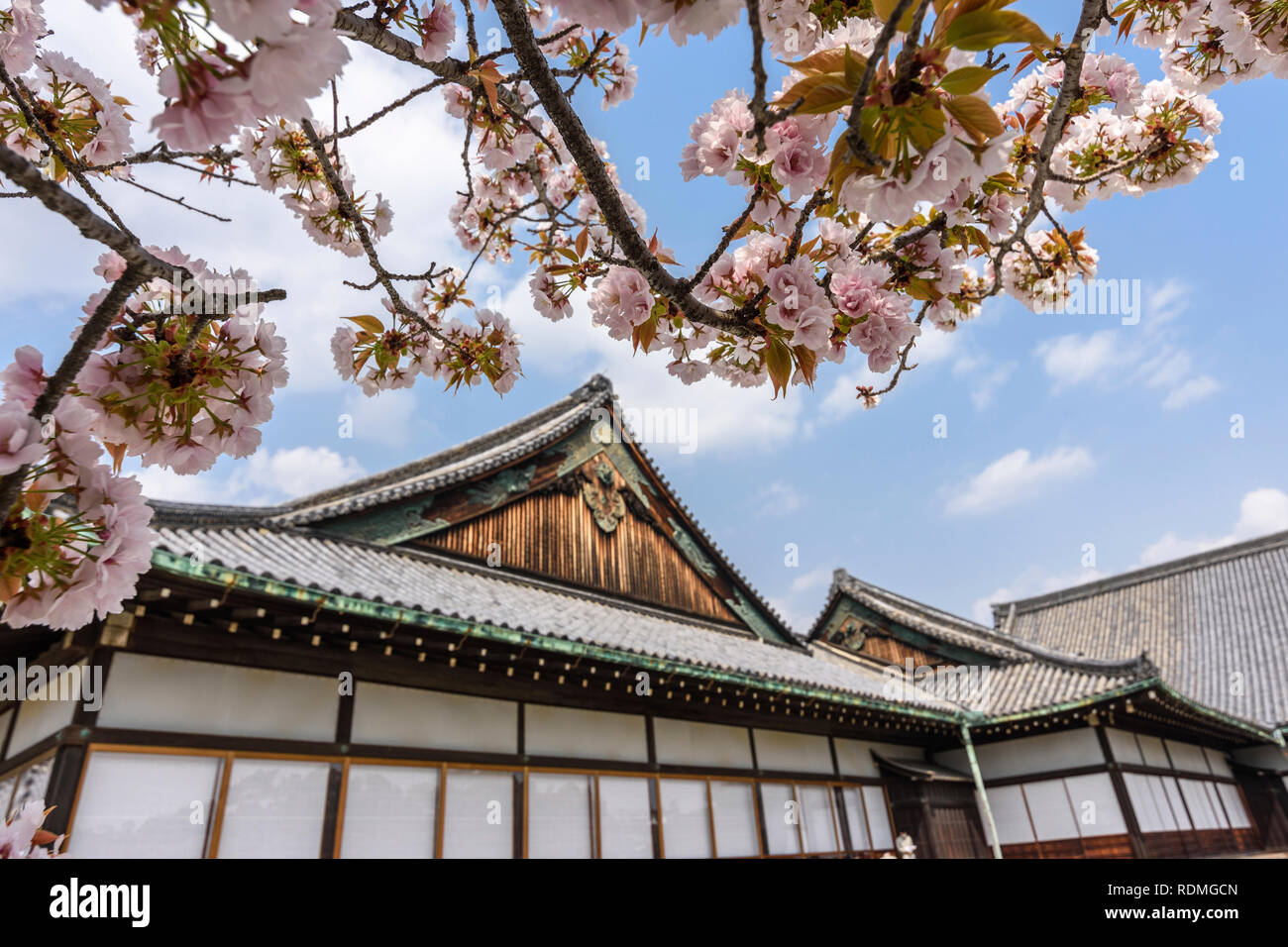 Cherry blossoms over Nijo-jo, a 17th century castle in Kyoto, Japan ...