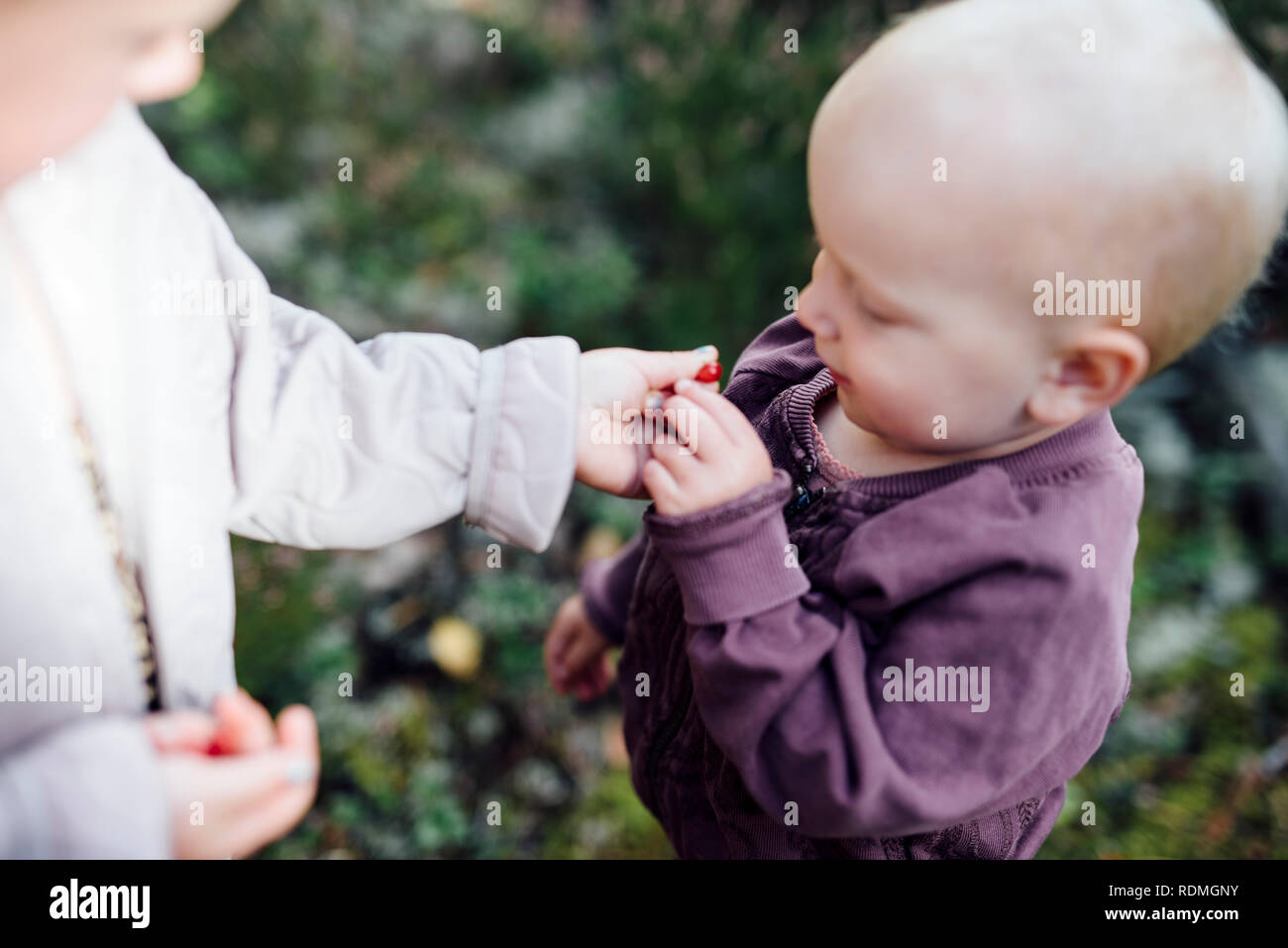 Children Picking Berries High Resolution Stock Photography and Images ...