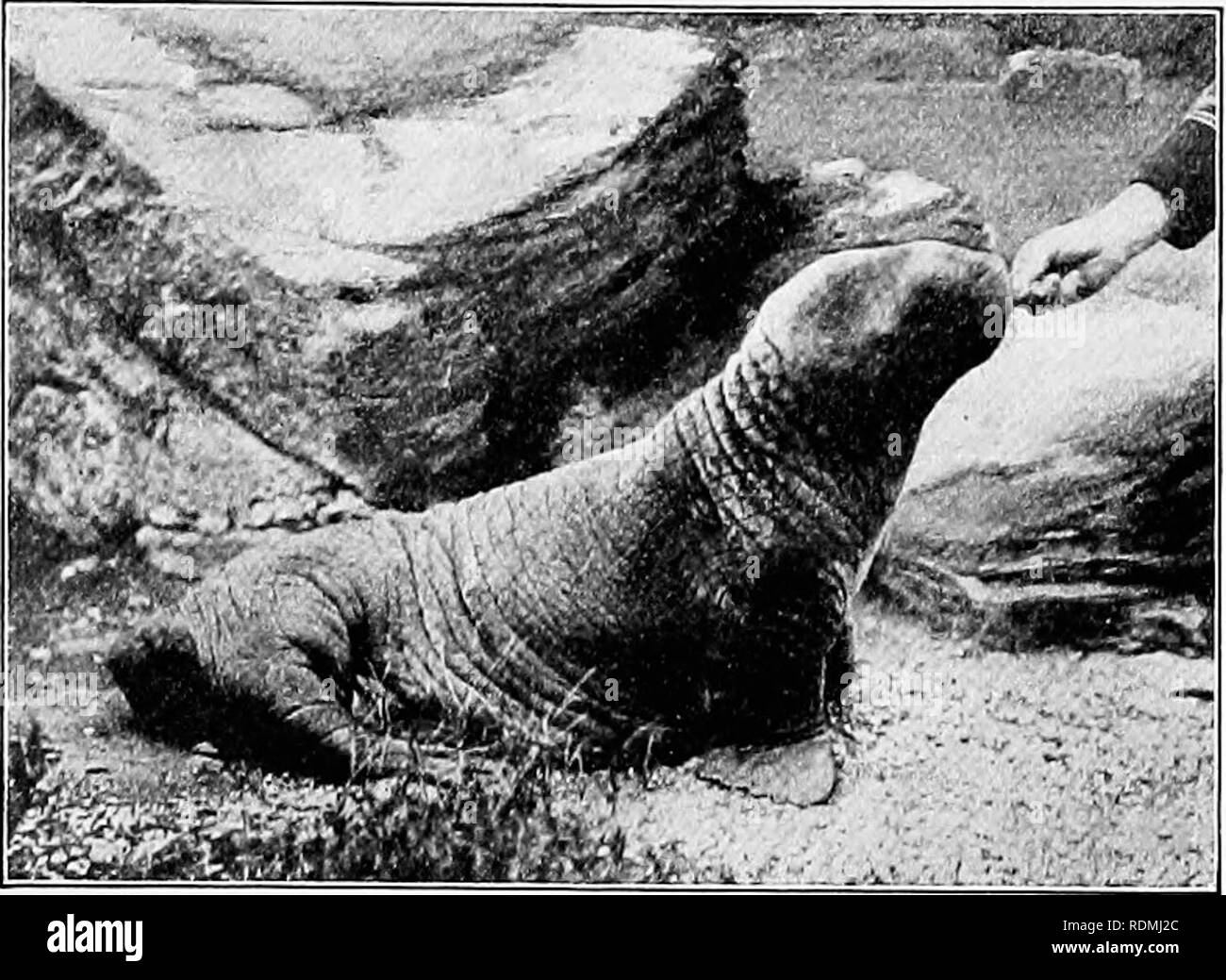 Settlement descriptions Black and White Stock Photos & Images - Alamy