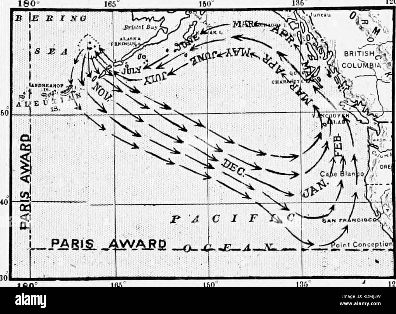 Animal migration map hi-res stock photography and images - Alamy