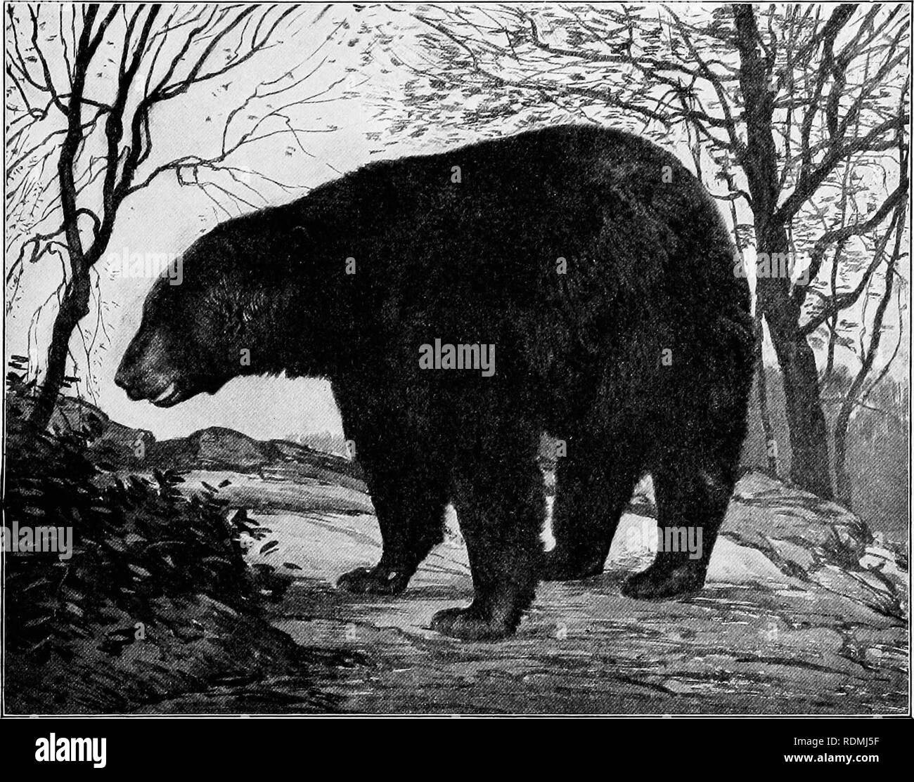 500 pounds british hi-res stock photography and images - Alamy
