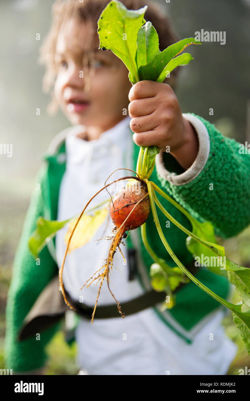 Turnip people hi-res stock photography and images - Alamy