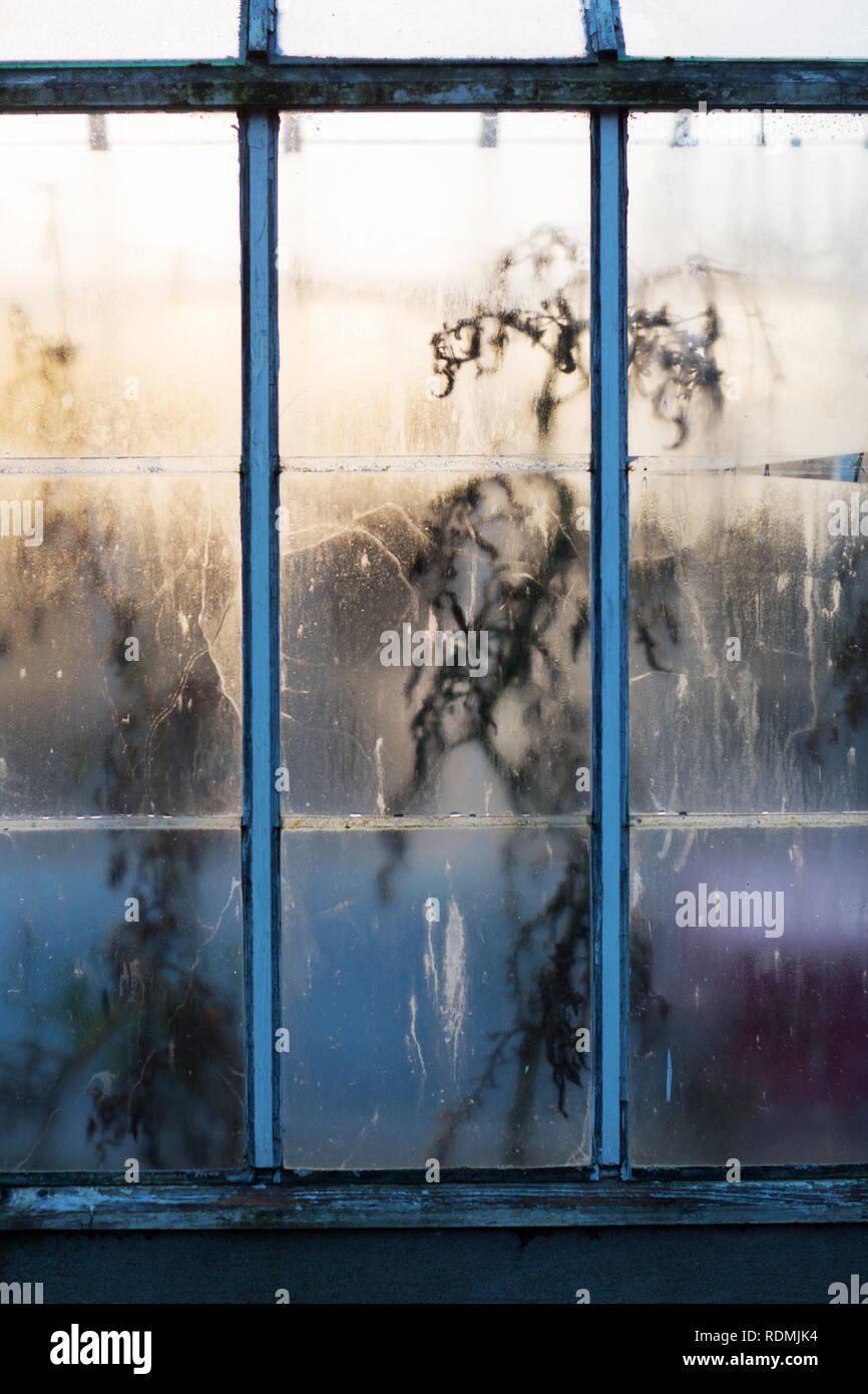 Close-up view of frosted window Stock Photo - Alamy