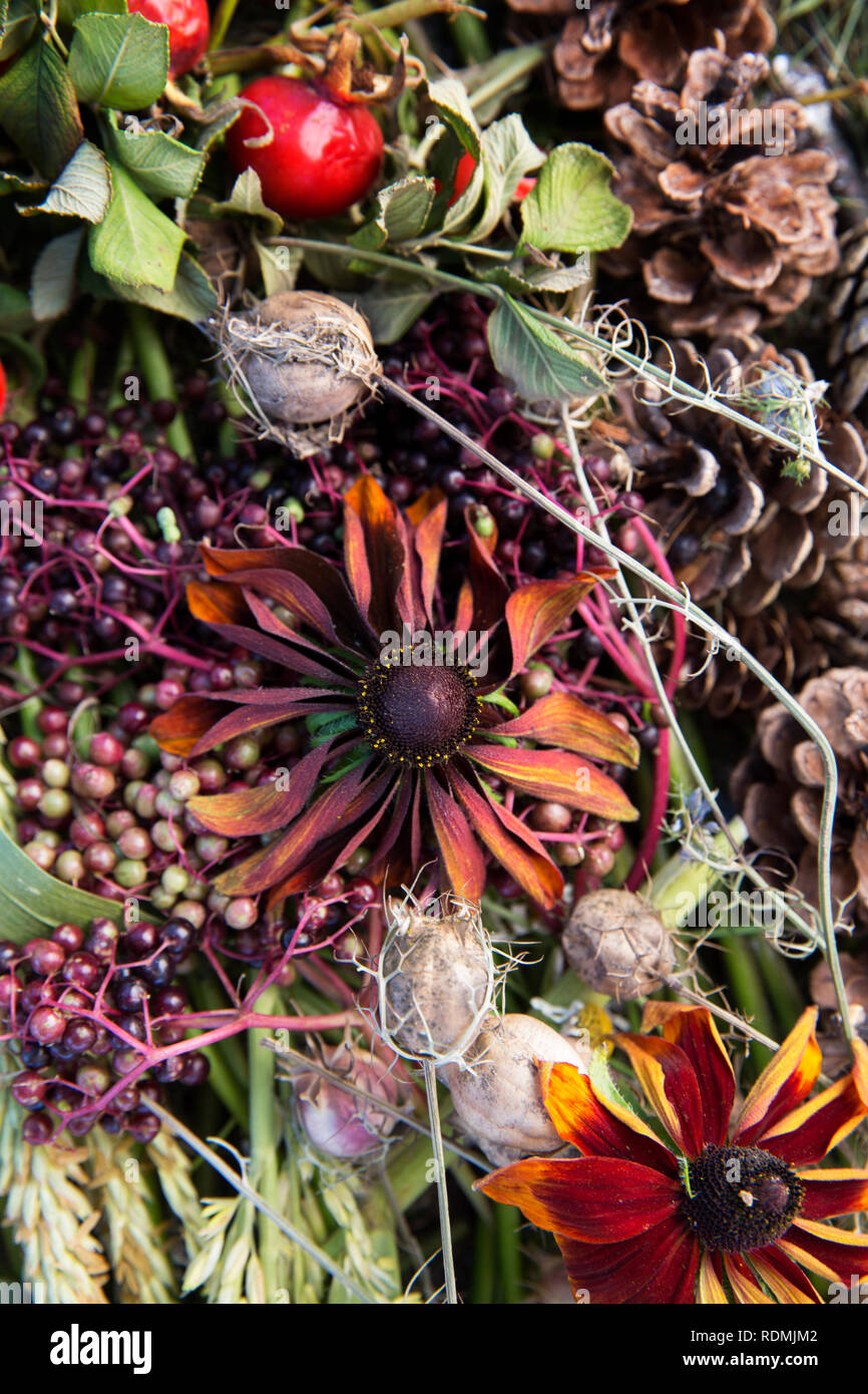 Close-up view of flower arrangement Stock Photo - Alamy