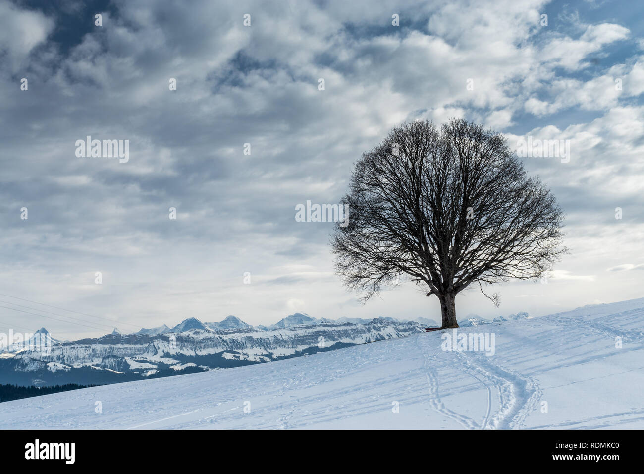 Aussicht auf die Berner Alpen vom Aebersold, Linden, Schweiz Stock ...