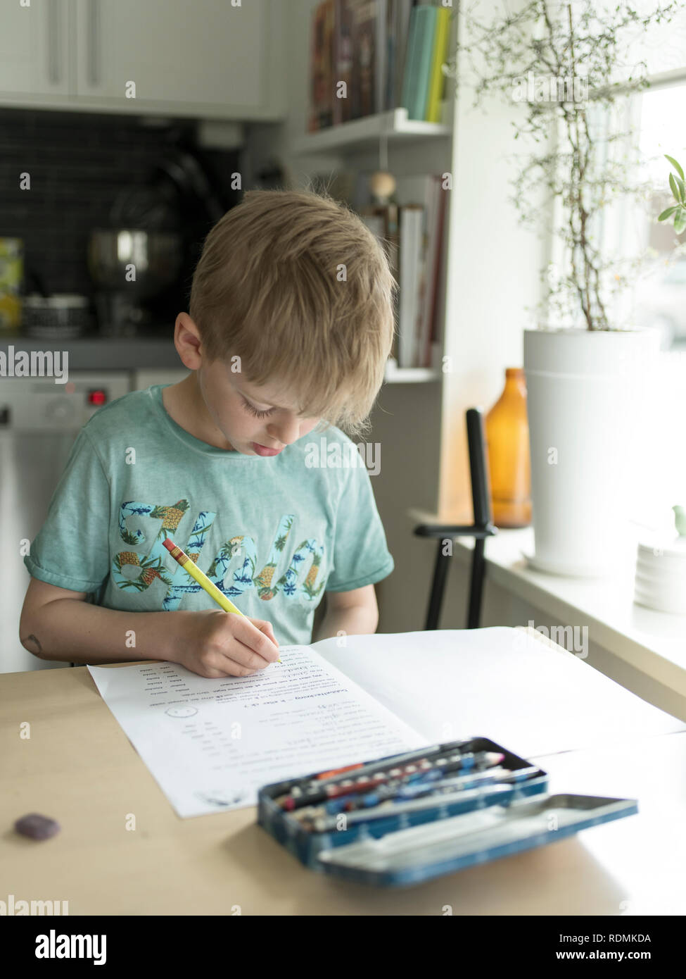 Boy doing homework Stock Photo - Alamy