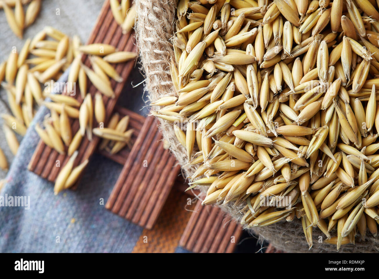 Oat seeds (Avena sativa) also known as the common oat in burlap sack ...