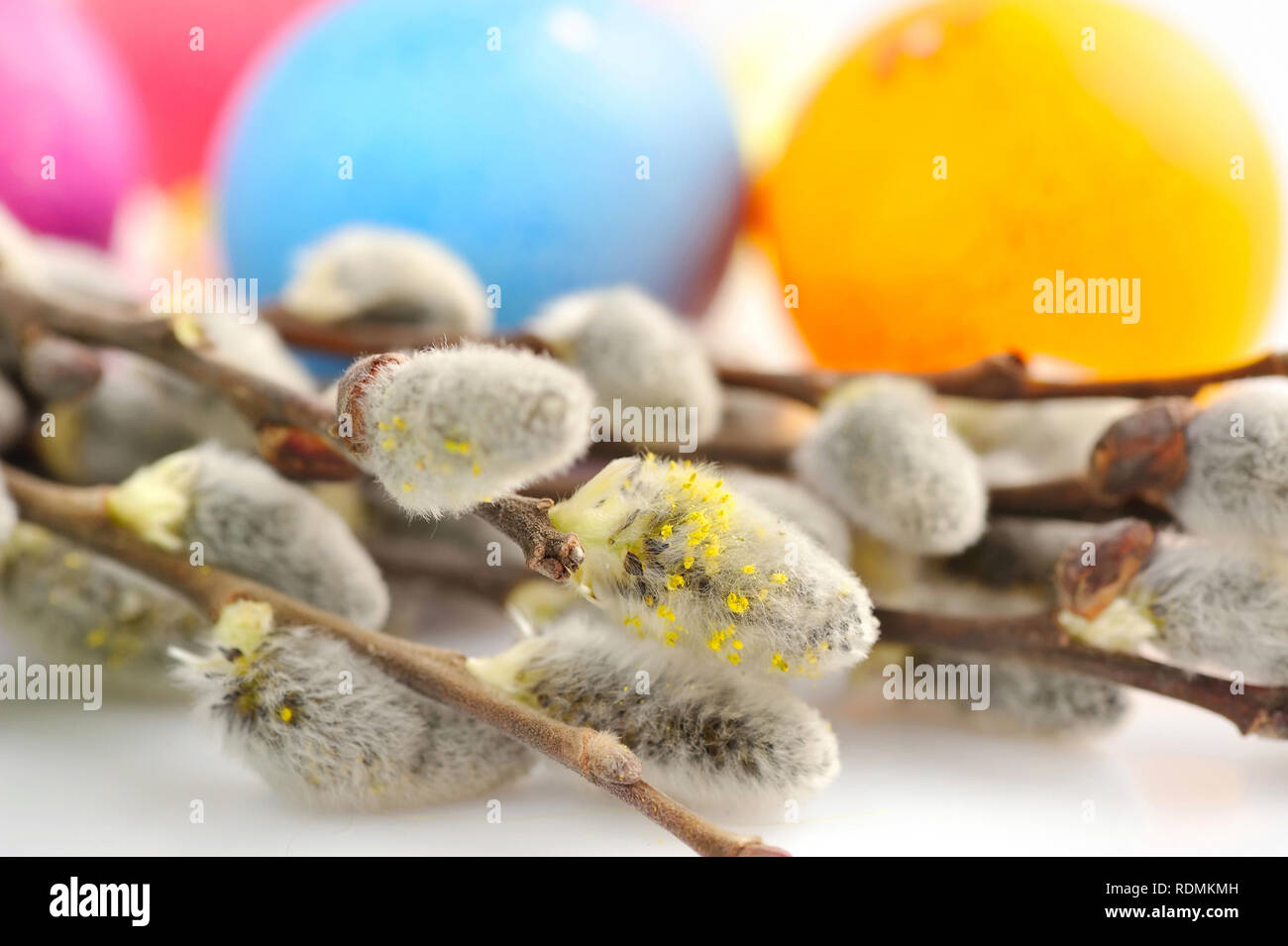 Branches of willow and colorful easter eggs on white background Stock ...